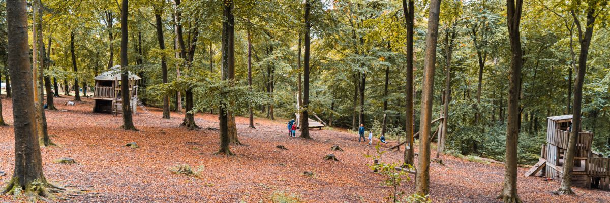 Queen Elizabeth Country Park | Things to do in Hampshire | Hampshire ...